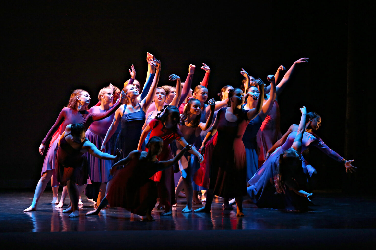 Fall Dance 24 – Department of Theatre and Dance