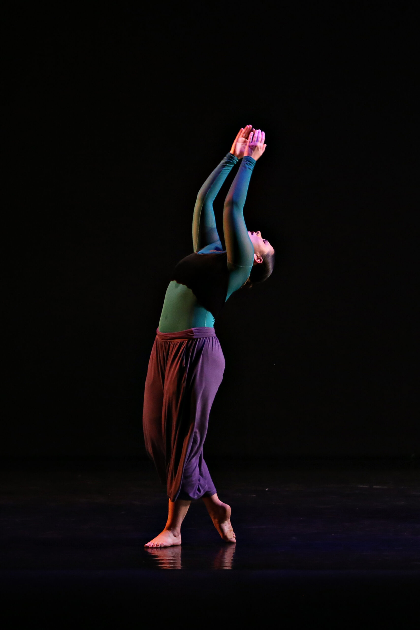 Fall Dance 24 – Department of Theatre and Dance